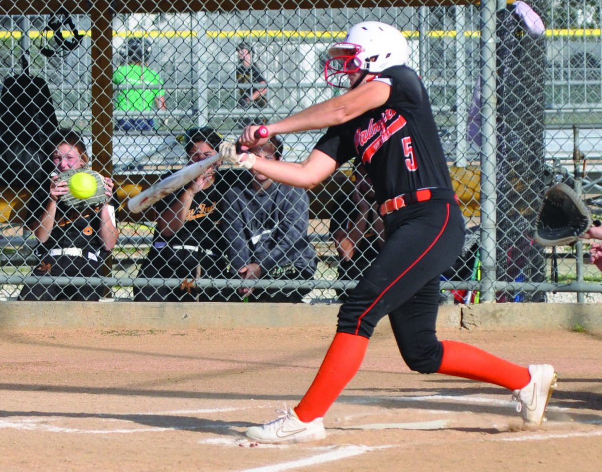 Lady Panthers fall to Monroe City, 11-3, in district championship game ...