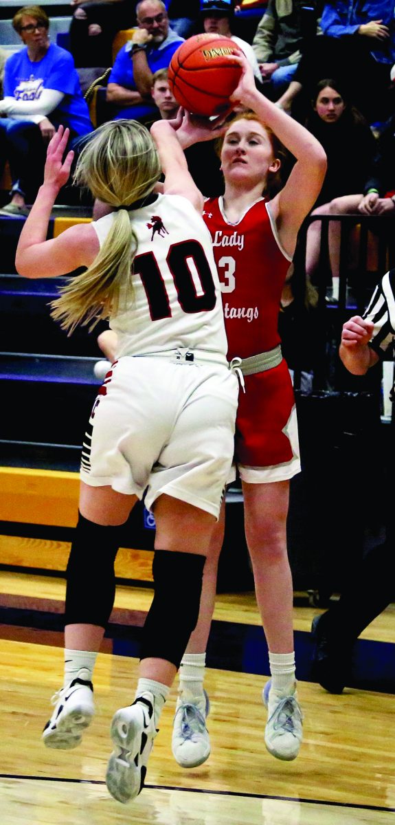 Lady Mustangs dominate Linn Co. in sectionals – Palmyra Spectator