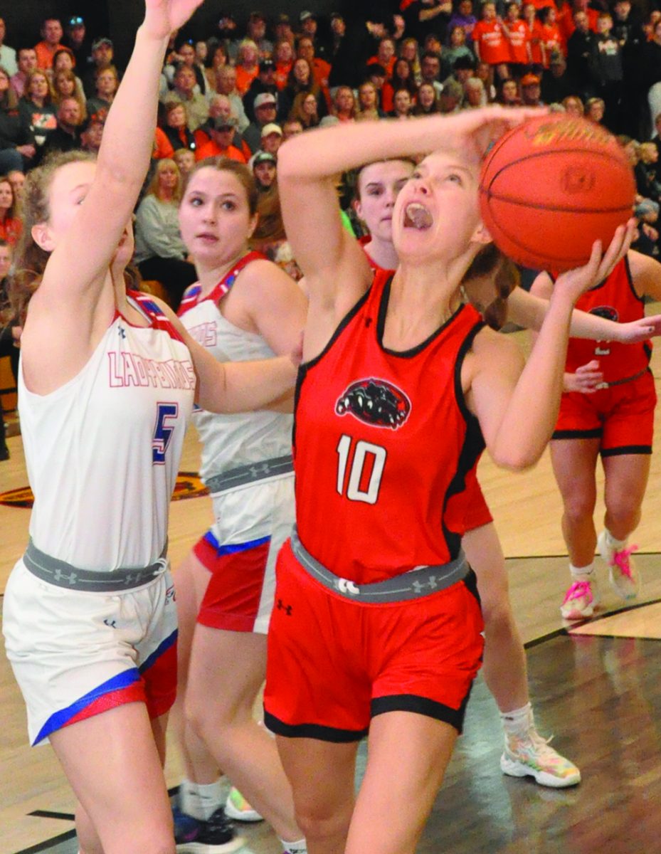 Lady Panther title game upset bid falls short against South Shelby ...