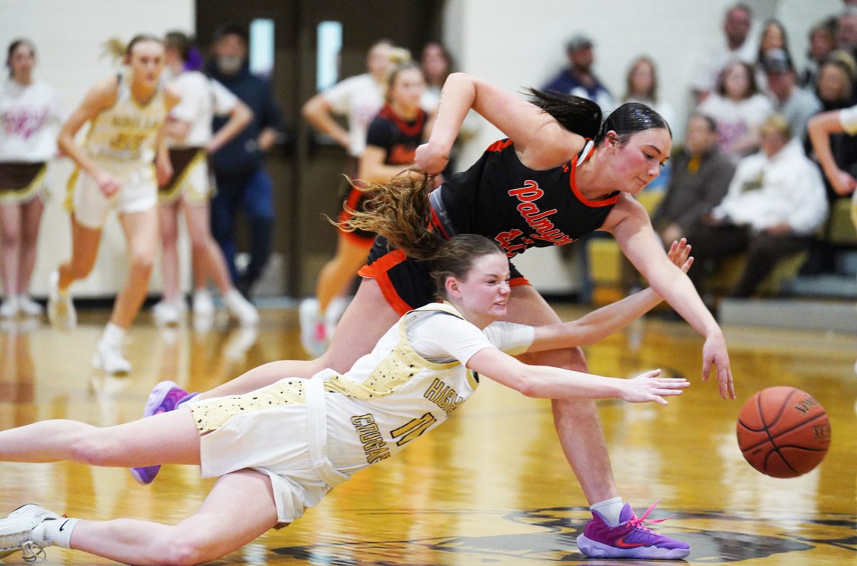 Palmyra Lady Panthers Look Ahead to Districts After Tough Loss to ...